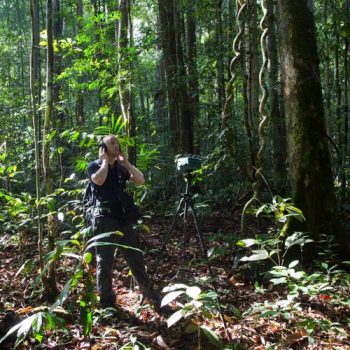 Nature Sounds to Download, Listen and License | Wild Ambience