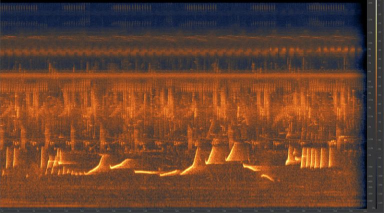 White-handed Gibbon Sounds & Calls | Wild Ambience Nature Sounds