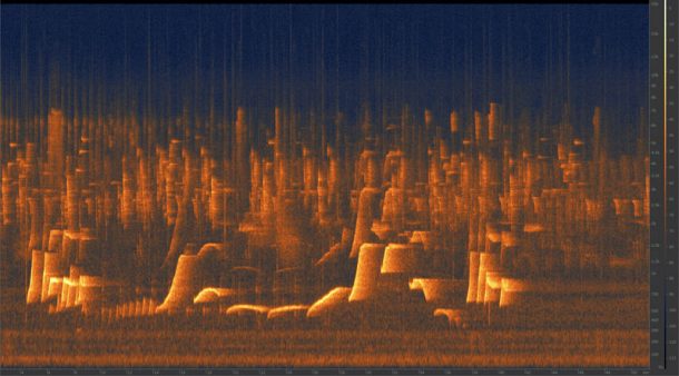 White-handed Gibbon Sounds & Calls | Wild Ambience Nature Sounds