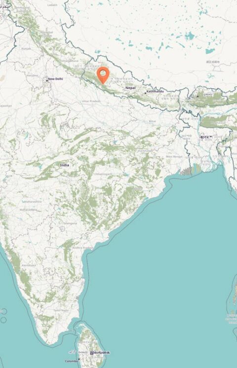 A Day in Bardia - Wild Ambience Nature Sounds