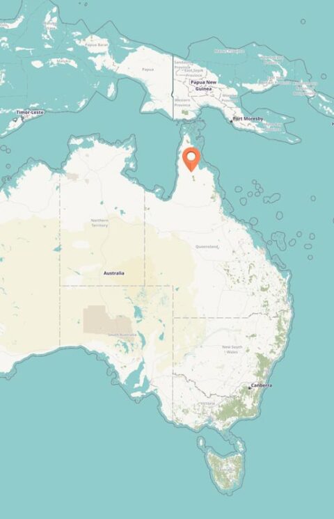 Cape York: Savanna Woodland - Wild Ambience Nature Sounds