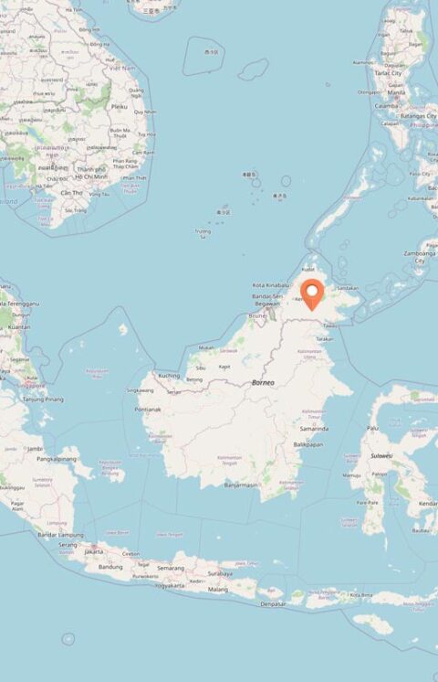 Borneo: Maliau Basin - Wild Ambience Nature Sounds