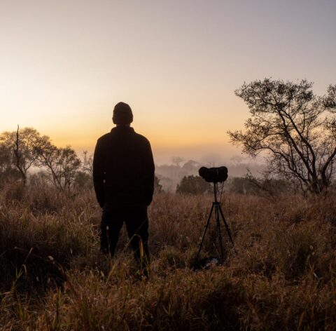 Nature Sounds to Download, Listen and License | Wild Ambience